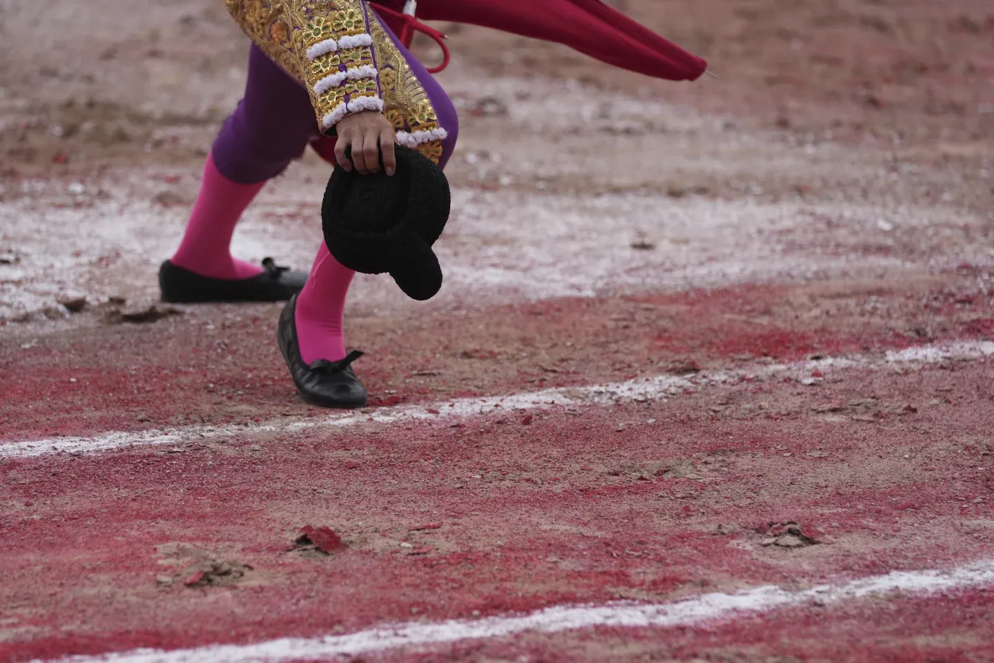 Diego Silveti y el arte en peligro: ¿Tiene futuro la tauromaquia en ...